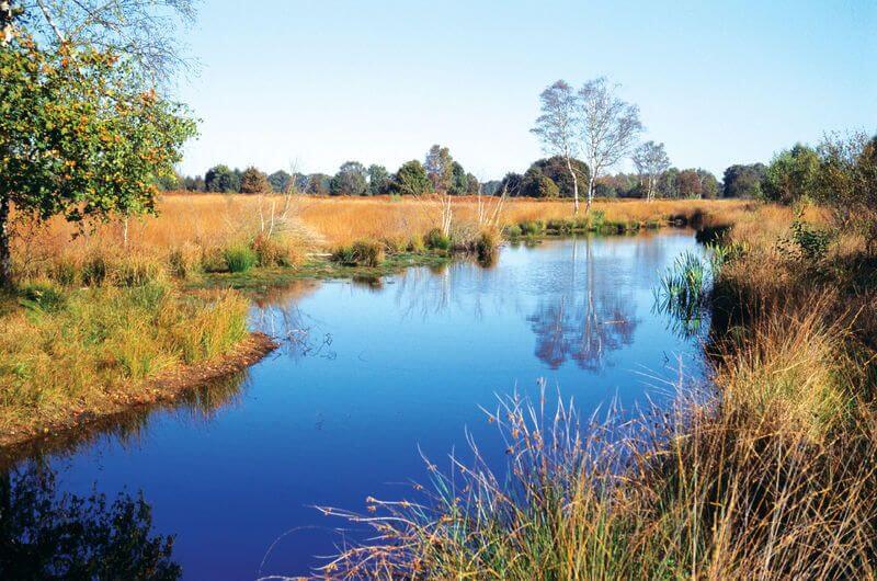 Bridgen in Fletcher Hotel-Restaurant Rooland - Boon-a-part Bridgereizen